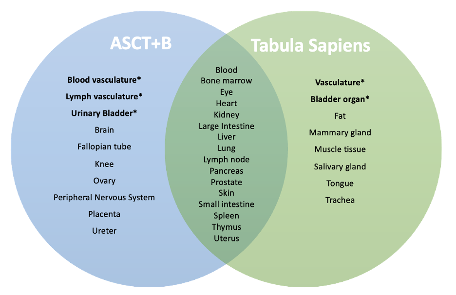 Comparing Tabula Sapiens to the Human Reference Atlas