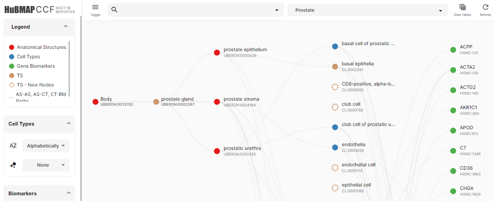 Comparing Tabula Sapiens to the Human Reference Atlas